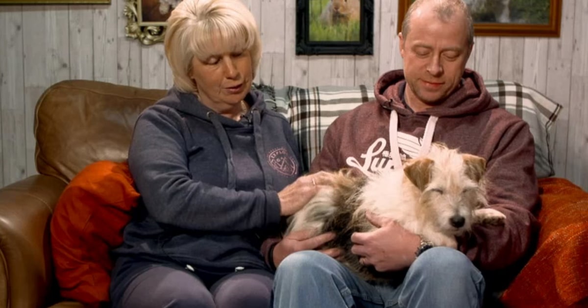 Stream Inside the Vets Series 1 Episode 8 | Watch on U