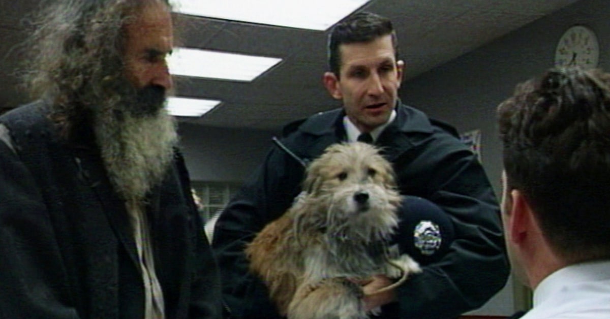 Stream The Bill Series 13 Episode 37 | Watch on U