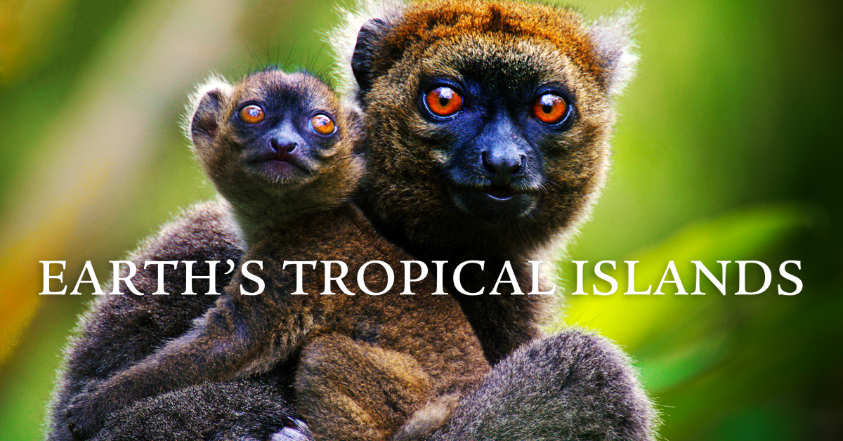 Stream Earth's Tropical Islands Series & Episodes | Watch on U