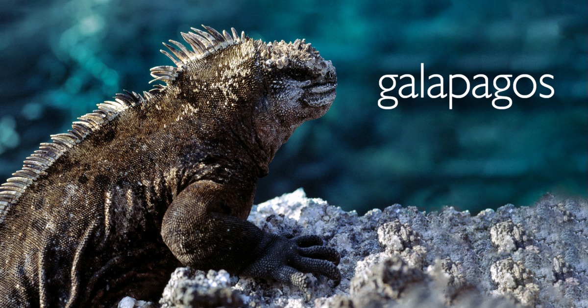 Stream Galapagos Series & Episodes | Watch on U