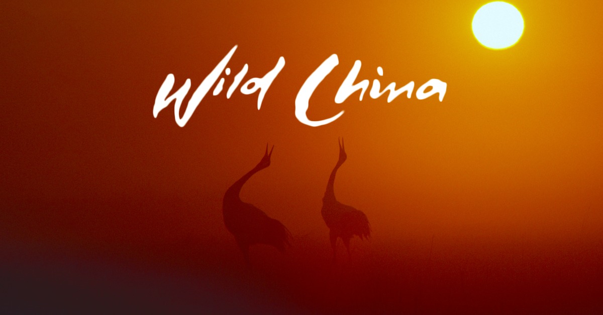 Stream Wild China Series & Episodes | Watch on U