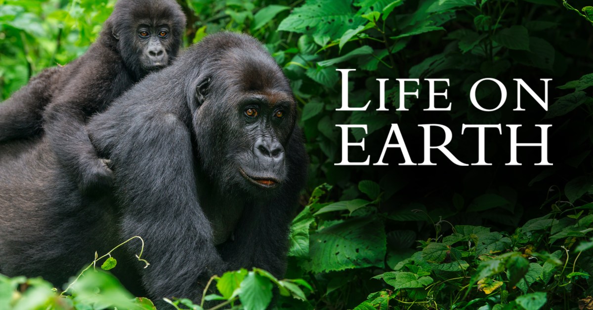 Stream Life on Earth Series & Episodes | Watch on U