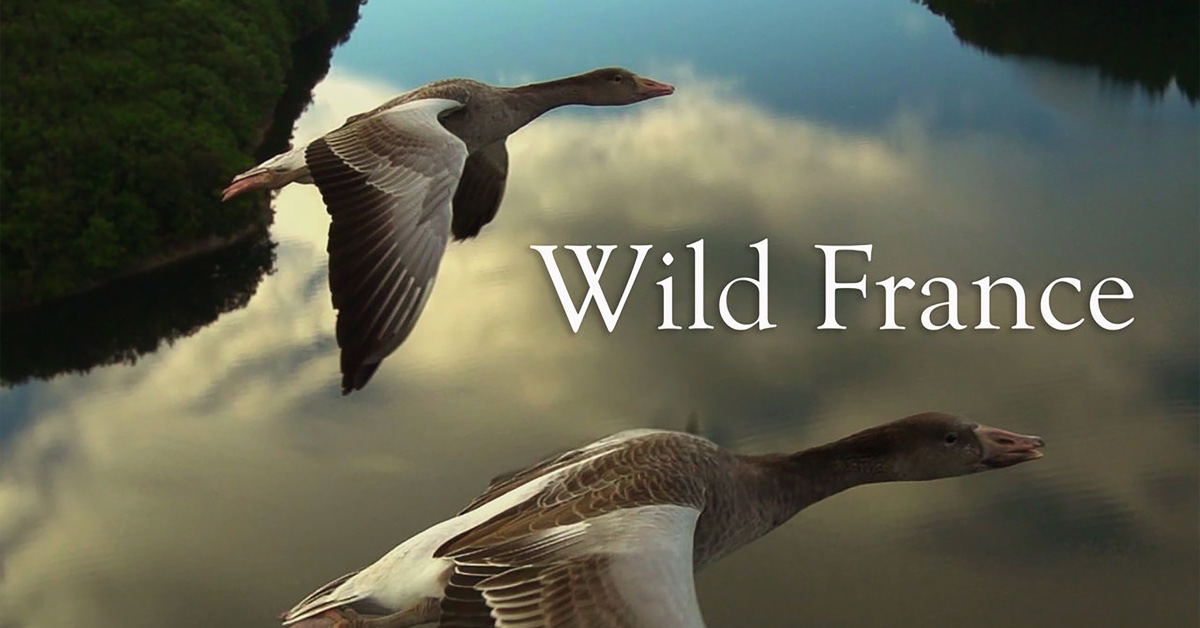 Stream Wild France Series & Episodes | Watch on U