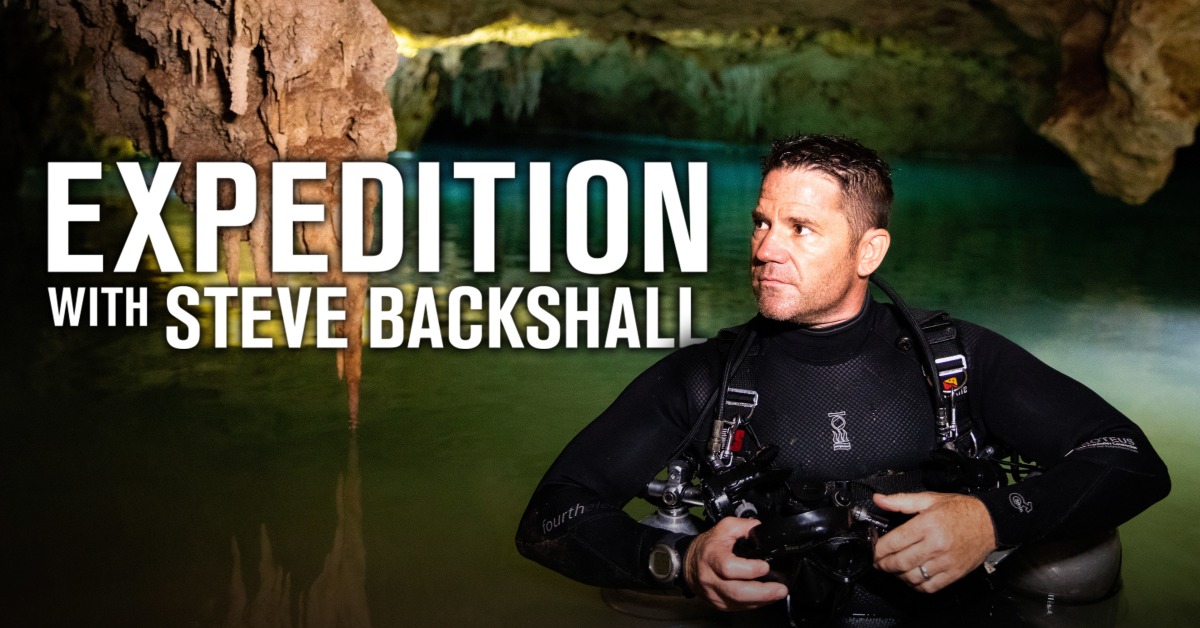Stream Expedition with Steve Backshall Series & Episodes | Watch on U