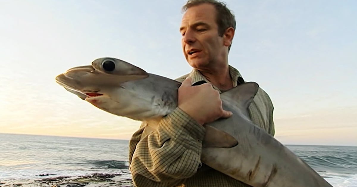 Stream Extreme Fishing with Robson Green Series 1 Episode 3 | Watch on U