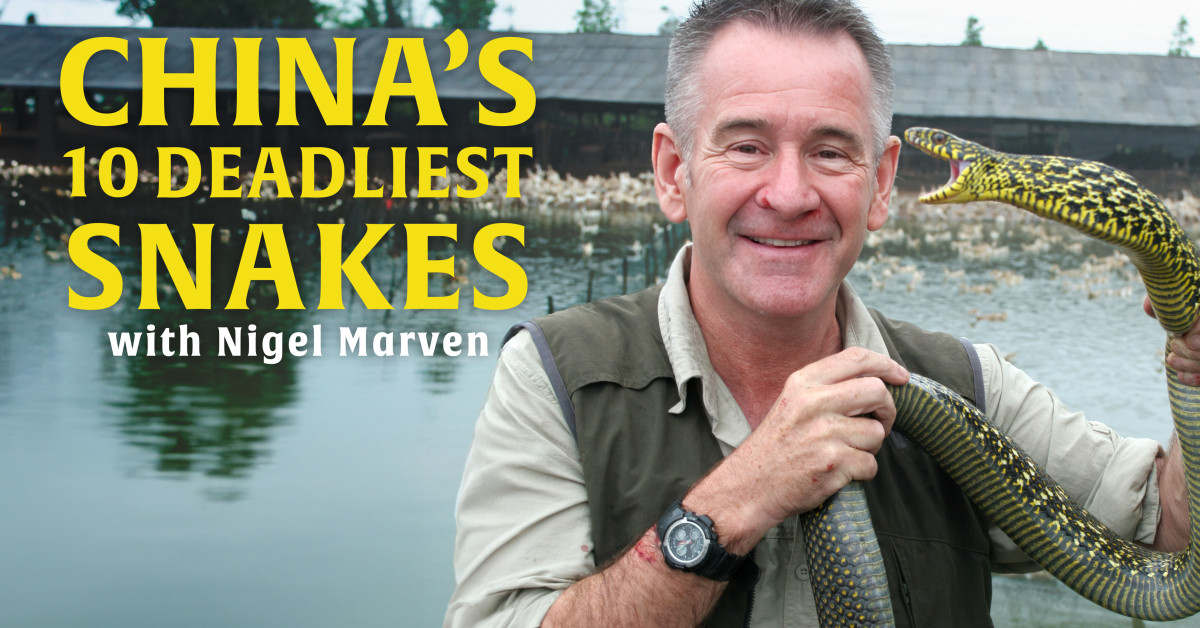 Stream China's 10 Deadliest Snakes with Nigel Marven | Watch on U