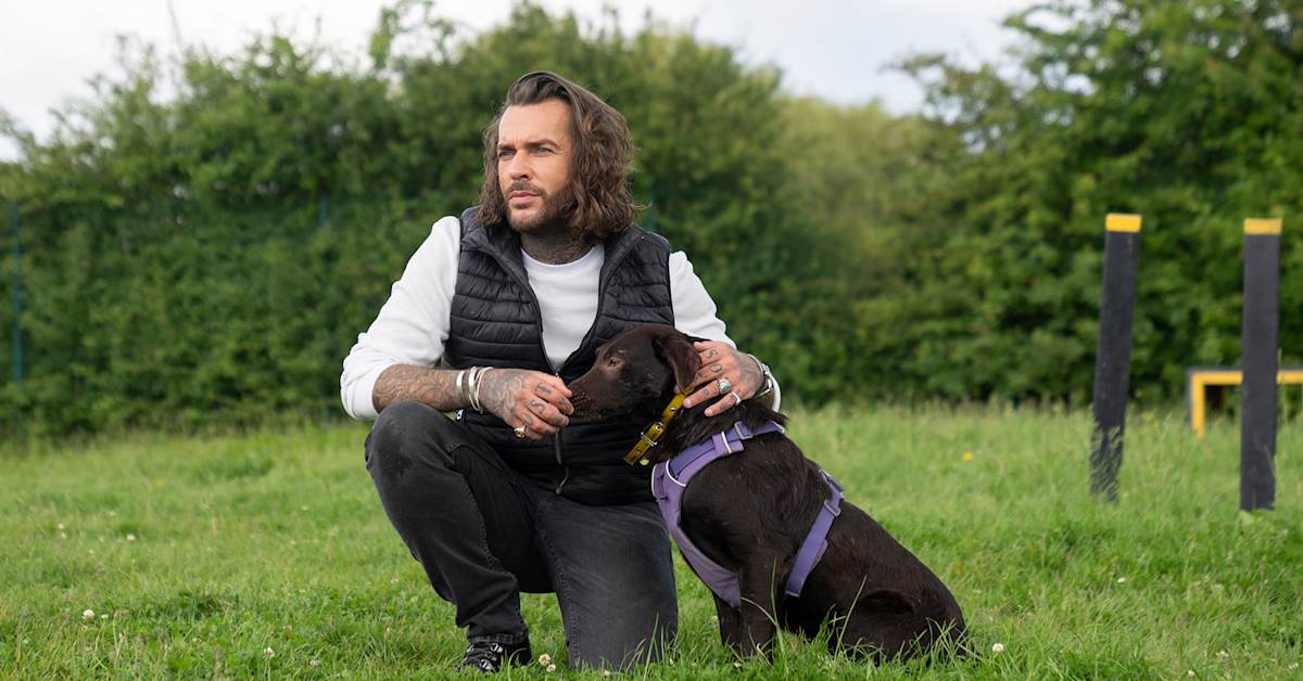 Stream Pete Wicks: For Dogs' Sake Series 1 Episode 1 | Watch on U