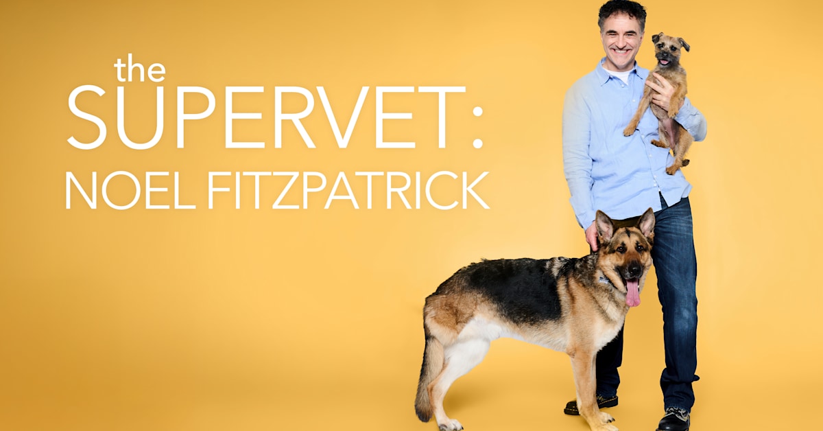 Stream The Supervet: Noel Fitzpatrick Series & Episodes | Watch on U