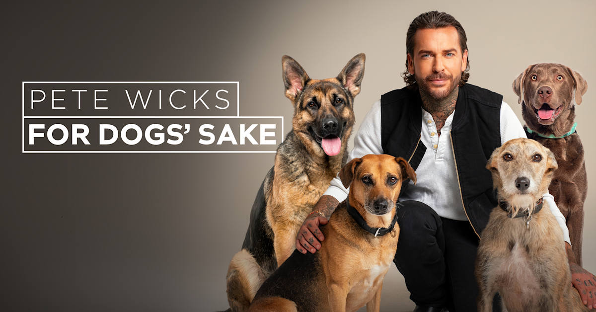Stream Pete Wicks: For Dogs' Sake Series & Episodes | Watch on U
