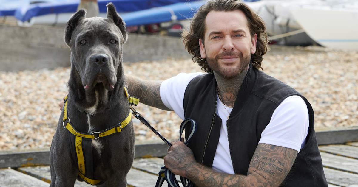Stream Pete Wicks: For Dogs' Sake Series 2 Episode 3 | Watch on U