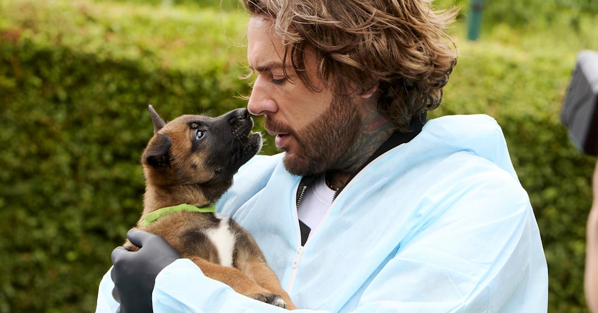 Stream Pete Wicks: For Dogs' Sake Series 2 Episode 4 | Watch on U