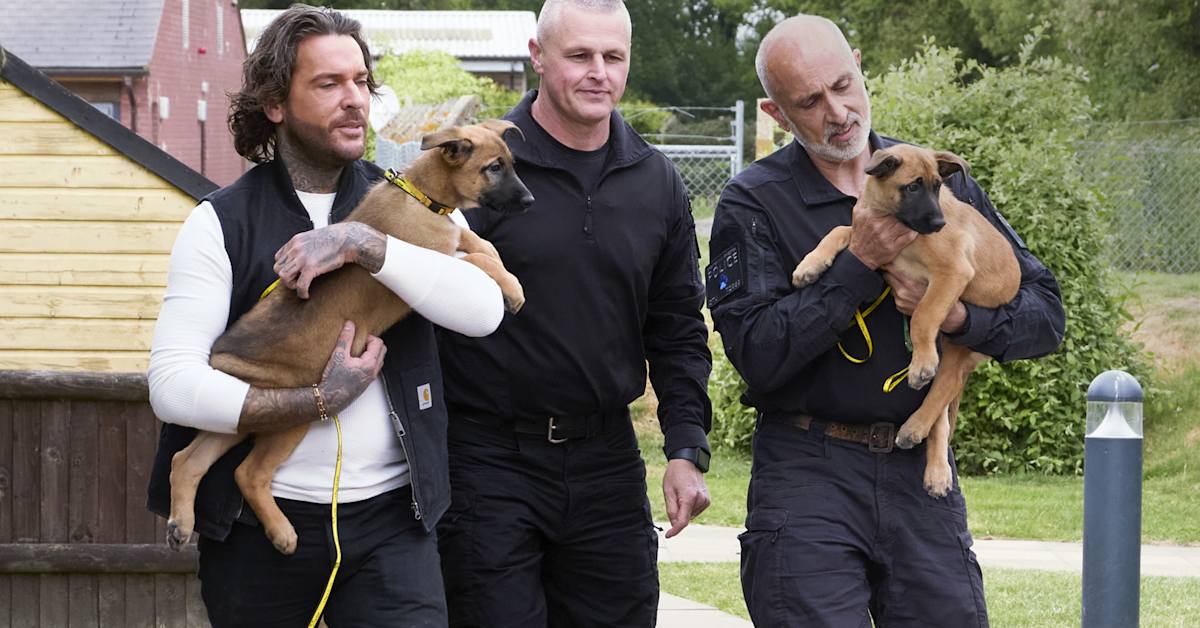Stream Pete Wicks: For Dogs' Sake Series 3 Episode 2 | Watch on U