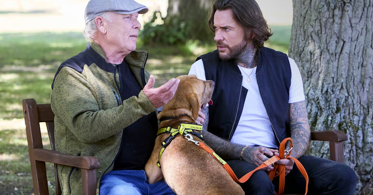 Stream Pete Wicks: For Dogs' Sake Series 3 Episode 4 | Watch on U