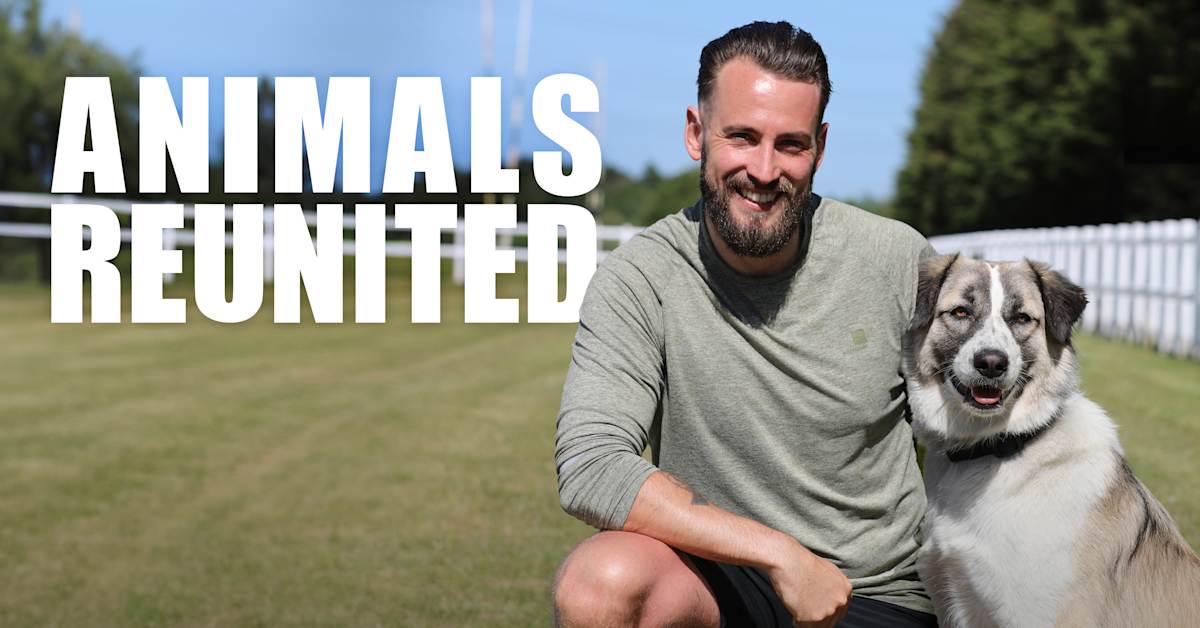 Stream Animals Reunited | Watch on U