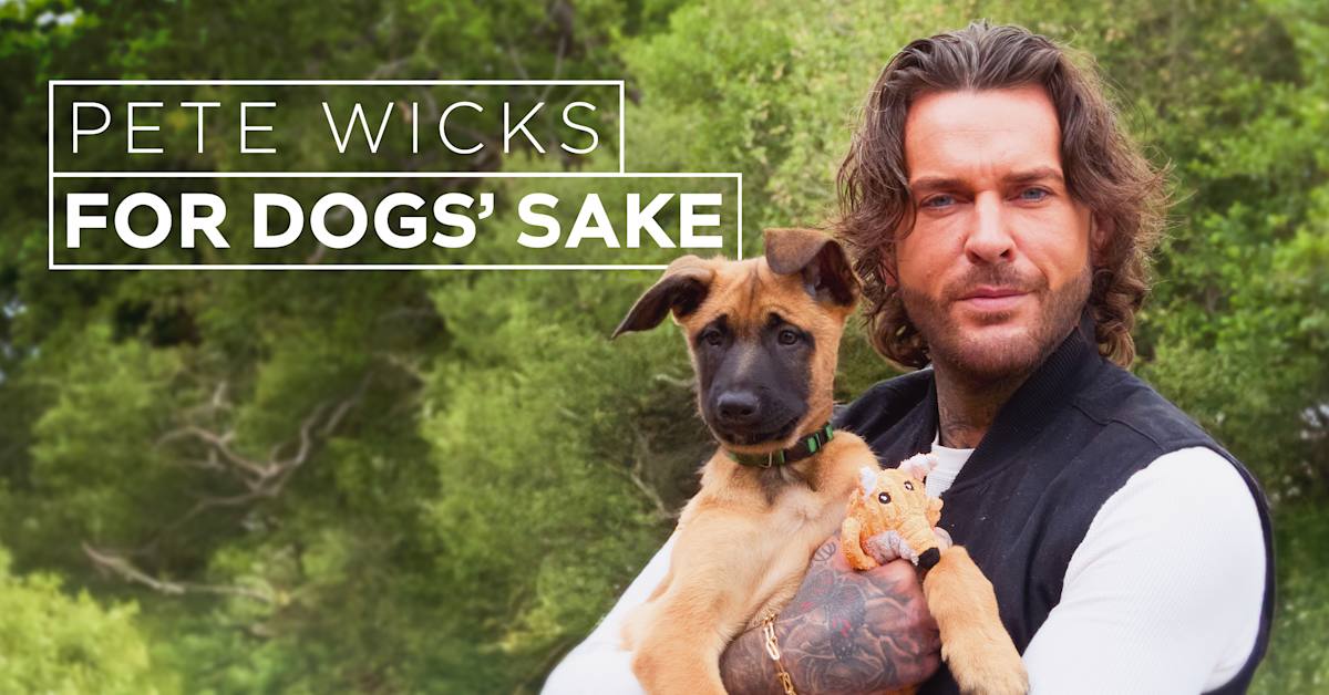 Stream Pete Wicks: For Dogs' Sake Series & Episodes | Watch on U